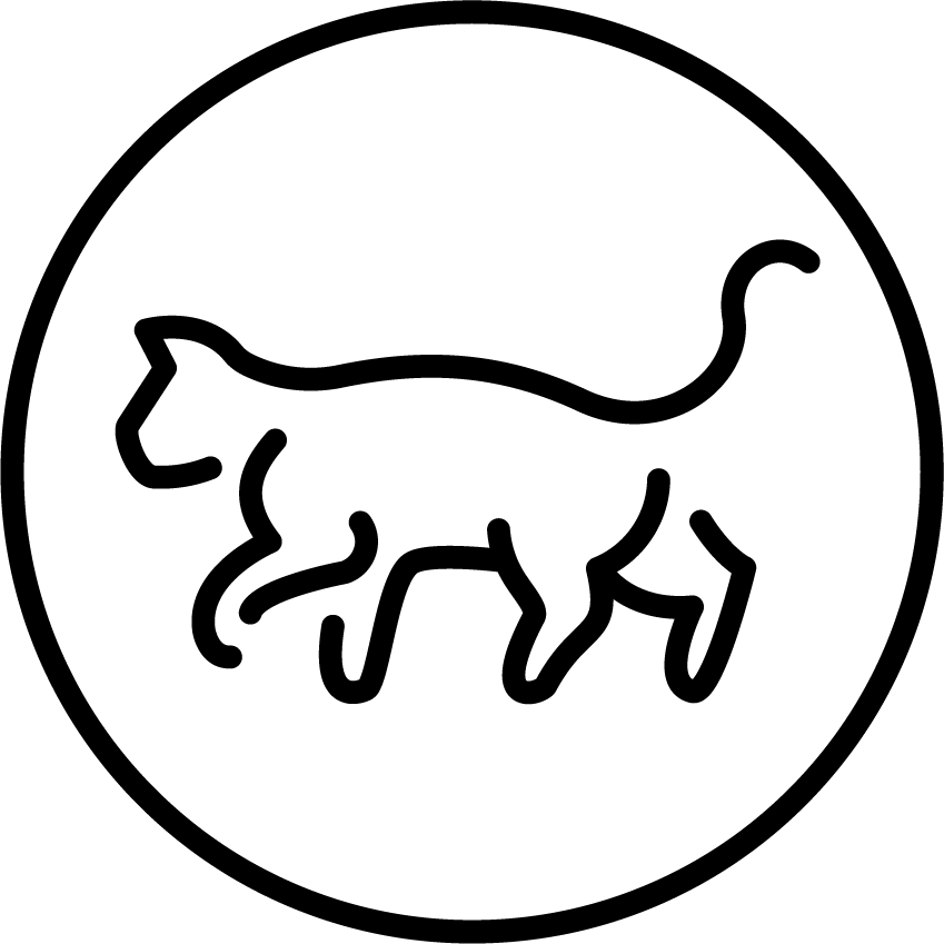 Katte | Veterinær | NOVAFON